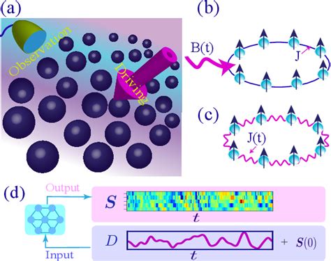 Figure 1 From Deep Learning Of Quantum Many Body Dynamics Via Random Driving Semantic Scholar