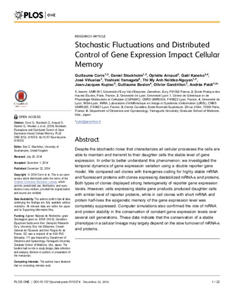 Pdf Stochastic Fluctuations And Distributed Control Of Gene Expression Impact Cellular Memory