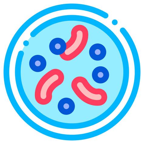 Syphilis Stock Vectors Istock