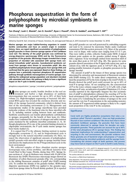 Pdf Phosphorus Sequestration In The Form Of Polyphosphate By Microbial Symbionts In Marine Sponges