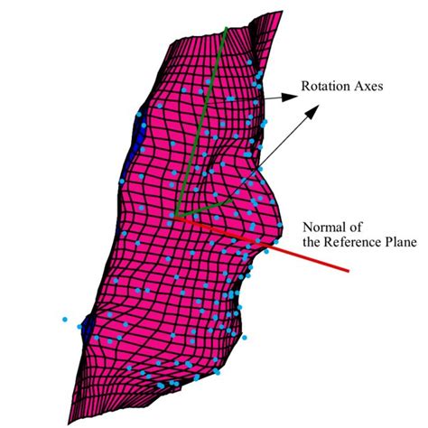 B Spline Surface Fitted To Surface Data Of A Nose The Relocated Area Download Scientific