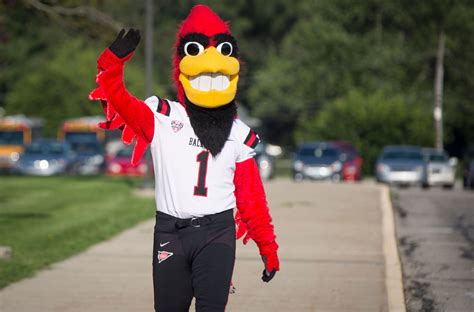 Cardinals Mascot
