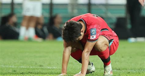 서울월드컵경기장 임영웅 콘서트 등으로 번 82억 중 25억만 잔디 관리에 써