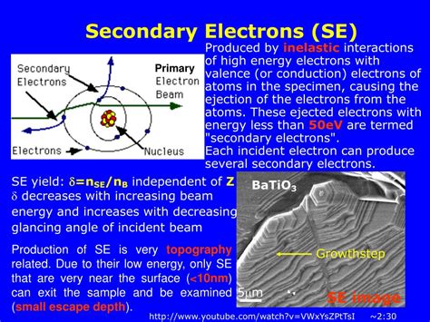 Ppt Lecture 3 Scanning Electron Microscopy Powerpoint Presentation