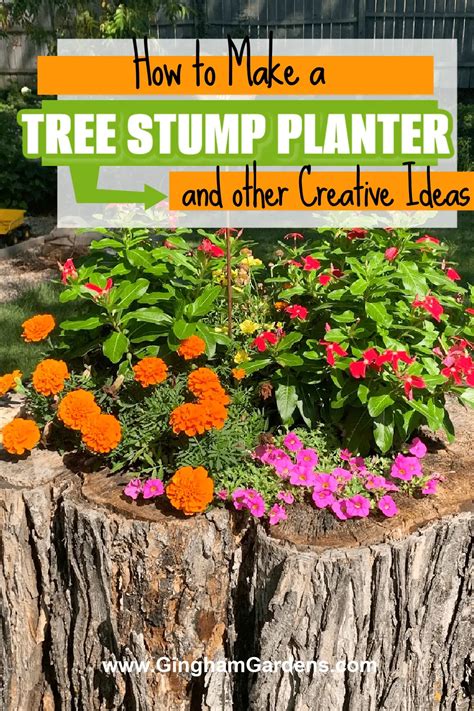 How To Make A Tree Stump Planter Lots Of Creative Ideas Gingham Gardens