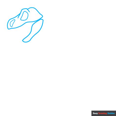 How To Draw A Fossil Really Easy Drawing Tutorial