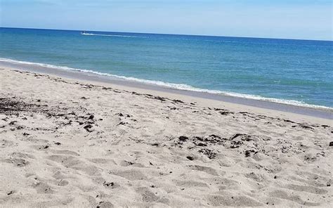 Is There A Nude Beach In Florida Nude Beaches In Fl