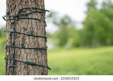 41 Led Tree Trunk Wrap Lights Images Stock Photos And Vectors Shutterstock