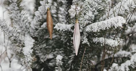 눈 덮인 소나무 가지에 매달려 있는 현대 크리스마스 장식품 야외에서 눈 속에서 세련된 싸구려로 장식된 크리스마스 트리 시골의 겨울 휴가 즐거운 성탄절 텍스트를 위한