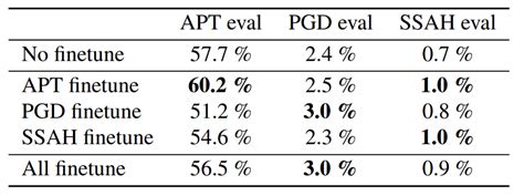 Assessing Neural Network Robustness Via Adversarial Pivotal Tuning
