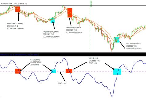 How To Read MACD Study Indicator And Interpret The Signals