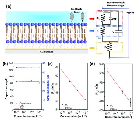 A Schematic Representation Of The Dodabnitspc5 Lbl Film Onto Gold Download Scientific