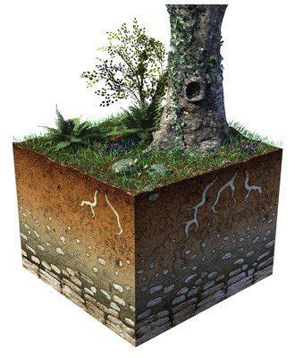 Soil Layers Diagram