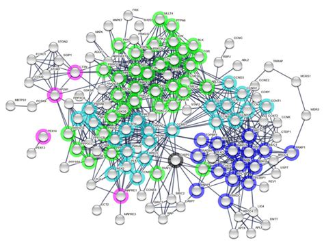 Predicted Ervk Integrase Interactome Cellular Proteins Containing