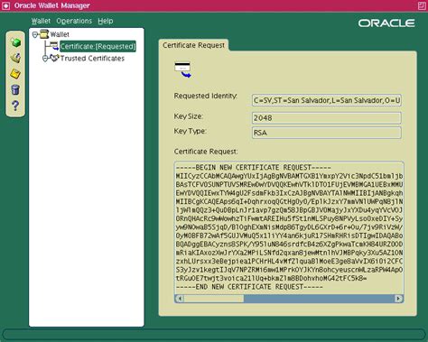 Configurando Certificados Con Oracle Wallet Manager Rinnovo
