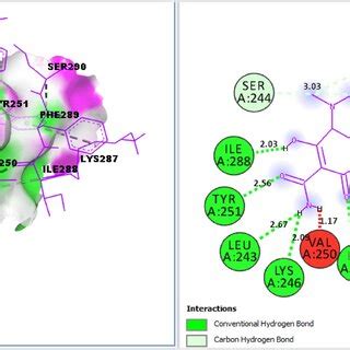 Binding Interaction Between 23 And Cytoplasmic Incompatibility Factor Download Scientific