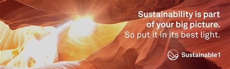 Corporate Sustainability Assessment Csa Linkedin