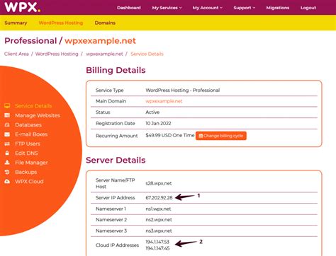How Can I Point My Domain To WPX WPX Net