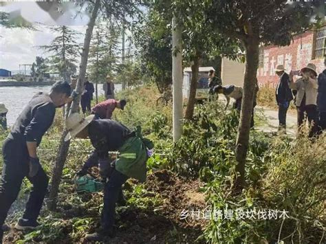 云南陆良白岩村拓展老百姓致富和美好生活向往的道路越来越宽 村民 人民 班子