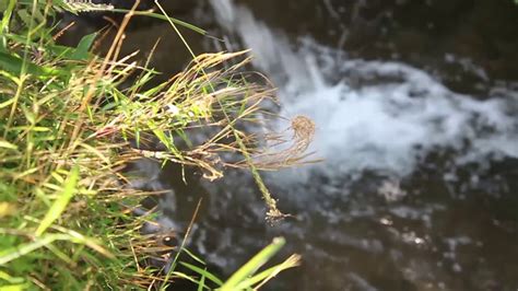 Keindahan Alam Desa Siman Kecamatan Kepung Kediri Youtube