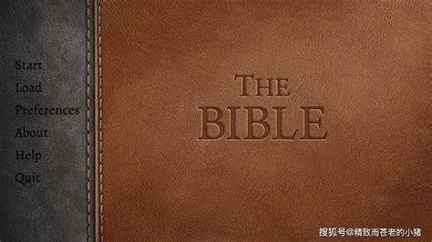 steam 的圣经电子书《the bible》：全语音文字游戏，或许是最强力的催眠游戏 支持 玩家 版本
