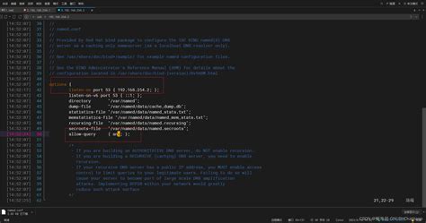 Linux：dns服务bindbind Dns视图配置 Csdn博客