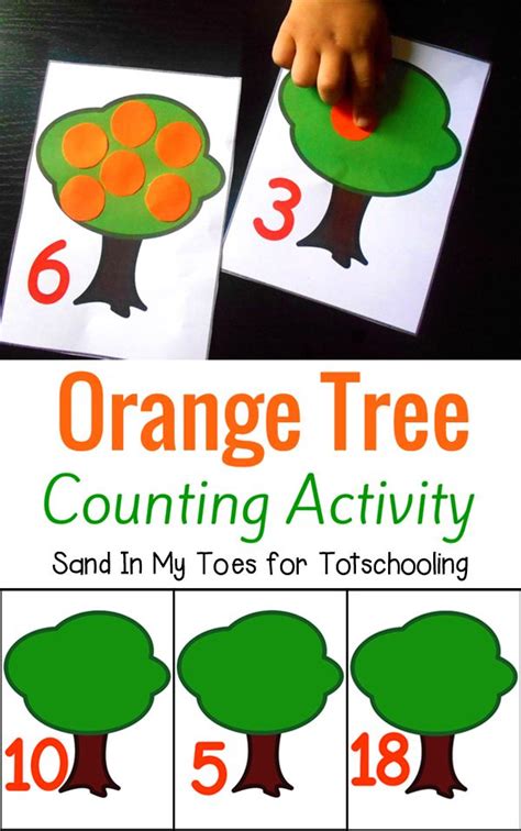 Orange Tree Counting Activity With Free Printable Artofit