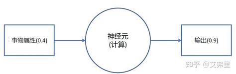 简单的神经网络例子 知乎