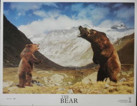 All About Movies The Bear 1988 Lobby Card Aka Lours