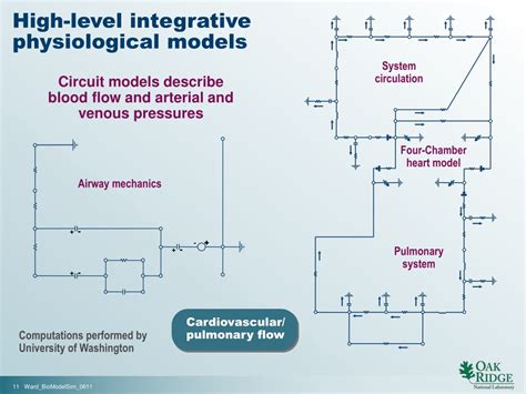 Ppt Biomedical Modeling And Simulation For Computational Sciences