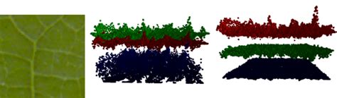 A Original Texture B Texture Modelled As A Surface C Texture Download Scientific