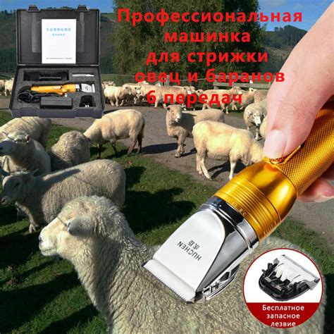 машинка для стрижки овец - купить с доставкой по выгодным ценам в ...