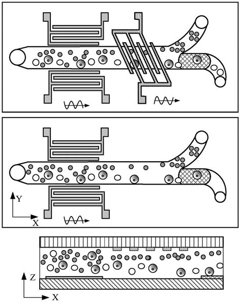 Circulating Tumor Cell Separation Device Adopting Combined Field Flow Separation Eureka Patsnap