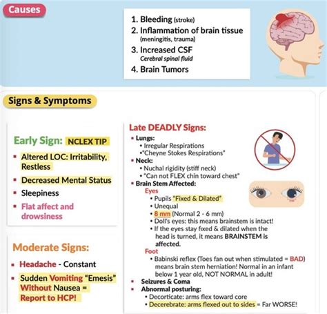 Exam 3 Review Pathophysiology And Medical Surgical Concepts Flashcards Quizlet