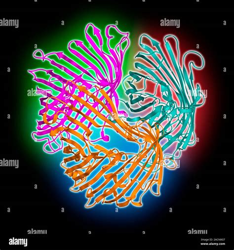 Sucrose Specific Porin Molecule Moleuclar Model Showing The Secondary And Quaternary Structure