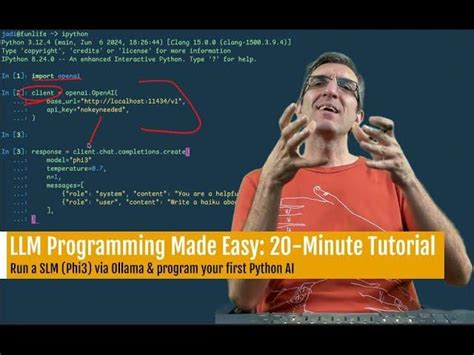 reyhaneh taj on linkedin llm programming made easy 20 min tutorial on