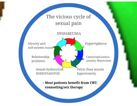 Diagnostic Insights Understanding Painful Sex Phrc