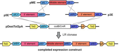 Aquatic Vertebrates Platform Services
