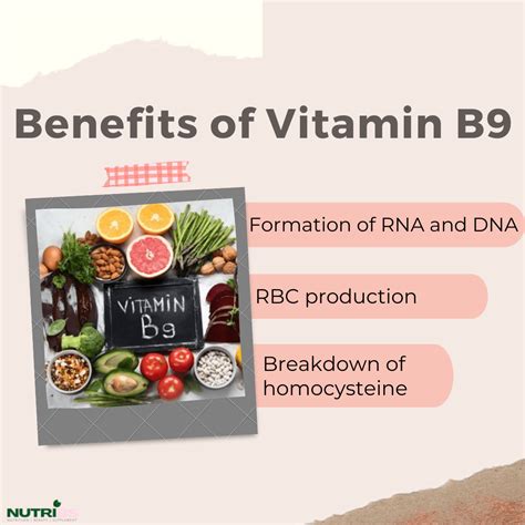 Vitamin B9 Benifits Source Deficiency Toxicity Nutribs