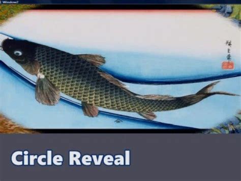 WPF Effects Library Demo Transitions YouTube