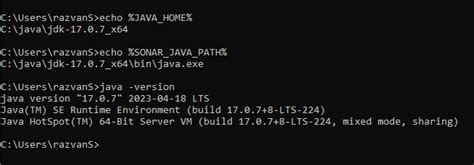Elastisearch Error When Starting Sonarqube Community On Windows Sonarqube Server Community