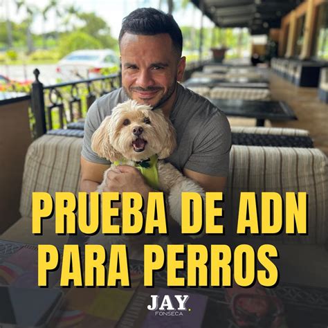 Jay Fonseca La Prueba De Adn Para Perros Ancestry Además De Hacer