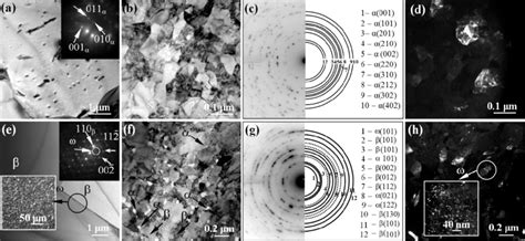 Microstructure Of The Pure Titanium A D And Ti 45nb Alloy E H In