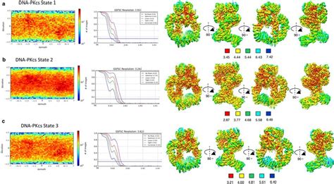 Particle Distributions Fsc Curves And Local Resolution Maps Local