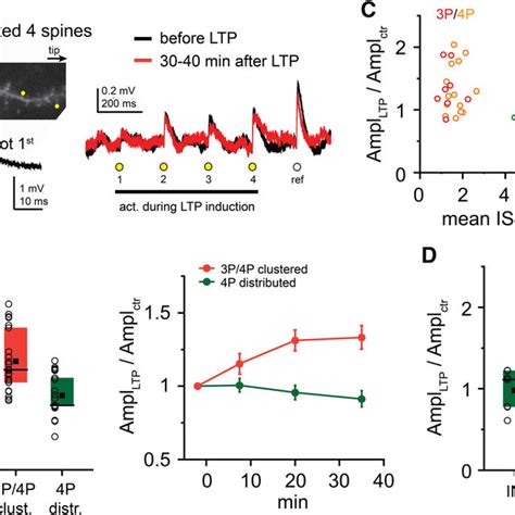 Spatial Requirements For Subthreshold Cooperative Ltp At Distal