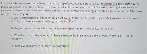 Solved Pyruvate Kinase Is An Enzyme Found In The Last Step