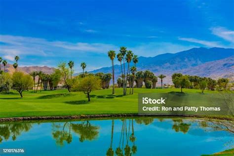 팜 스프링스 캘리포니아에서 녹색 벨트와 연못 을 줄 팜 나무 팜 스프링스 캘리포니아에 대한 스톡 사진 및 기타 이미지 팜