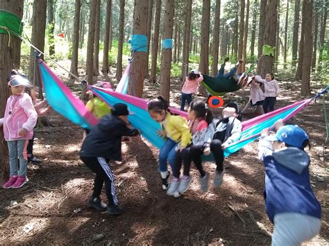 초등학교 숲밧줄자연놀이 수업시간