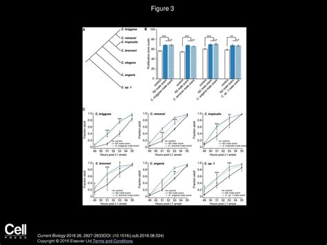 Sexually Antagonistic Male Signals Manipulate Germline And Soma Of C Ppt Download