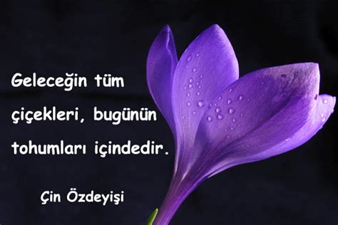 Çiçekler İle İlgili Güzel Sözler Güzel Sözler Güzel Mesajlar